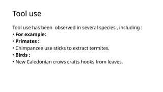 Cognition in animal behavior presentation.pptx