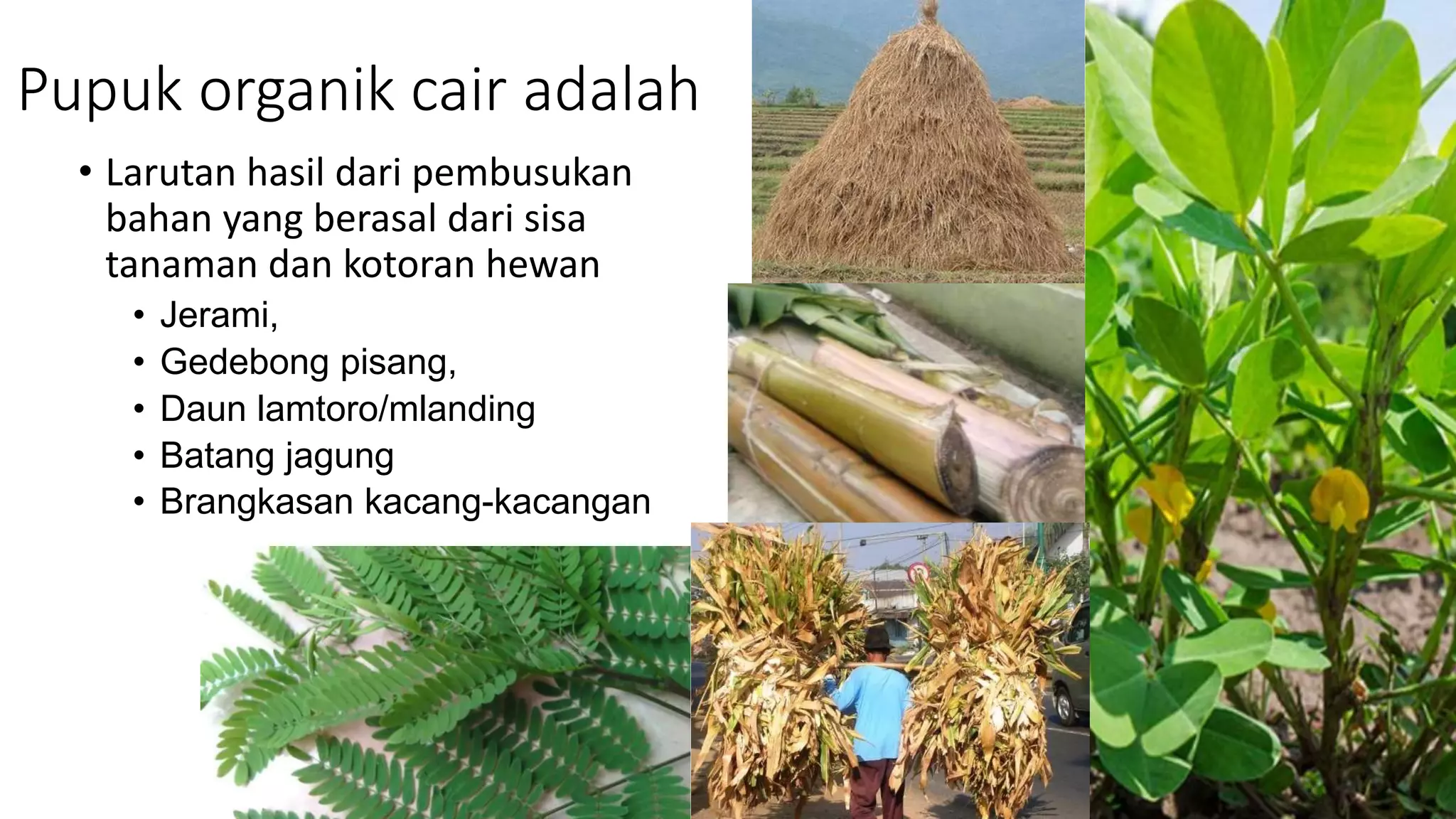 PUPUK ORGANIK CAIR.pptx
