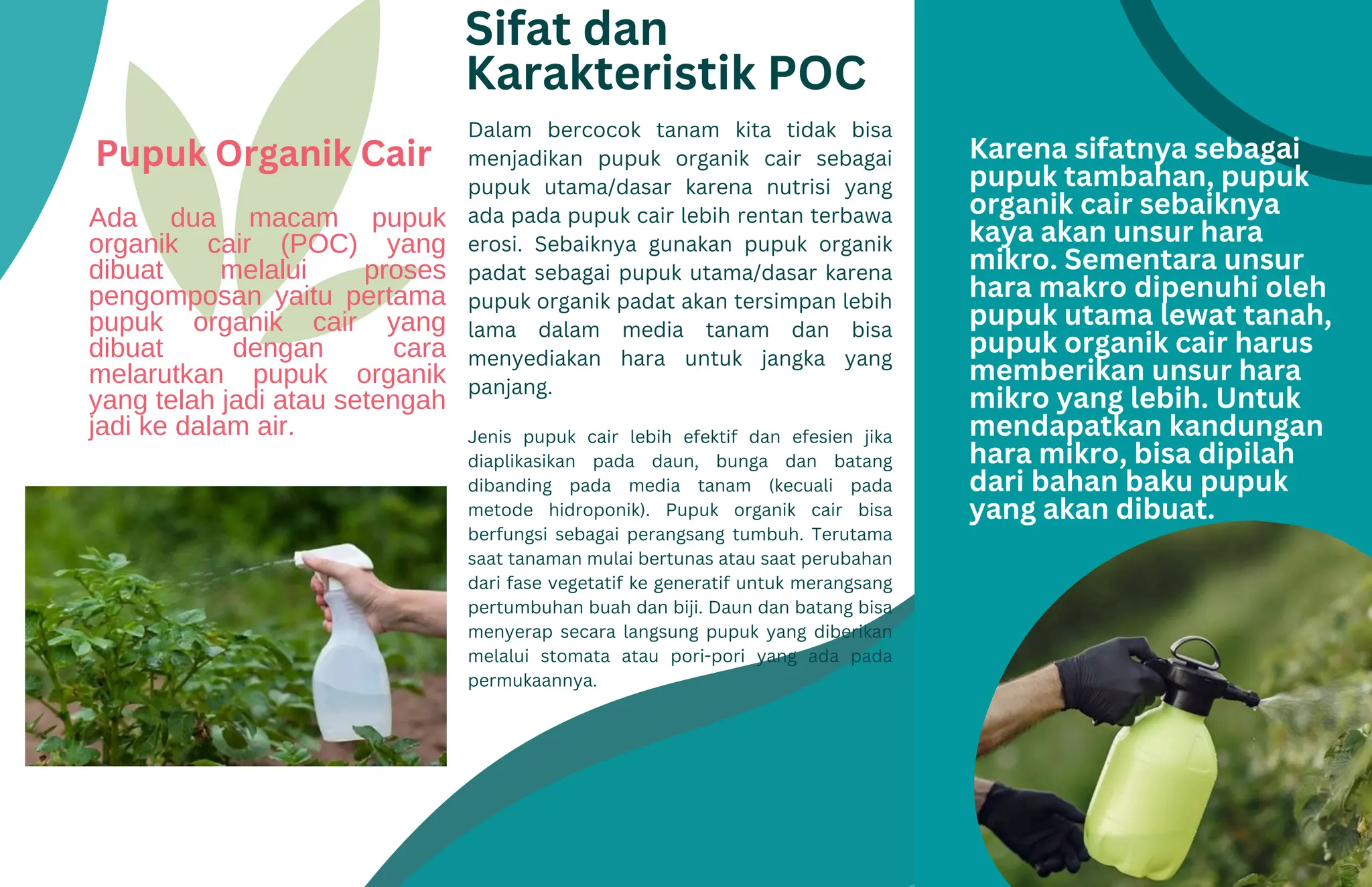 Pupuk Organik Cair dan Cara Pembuatannya.pdf