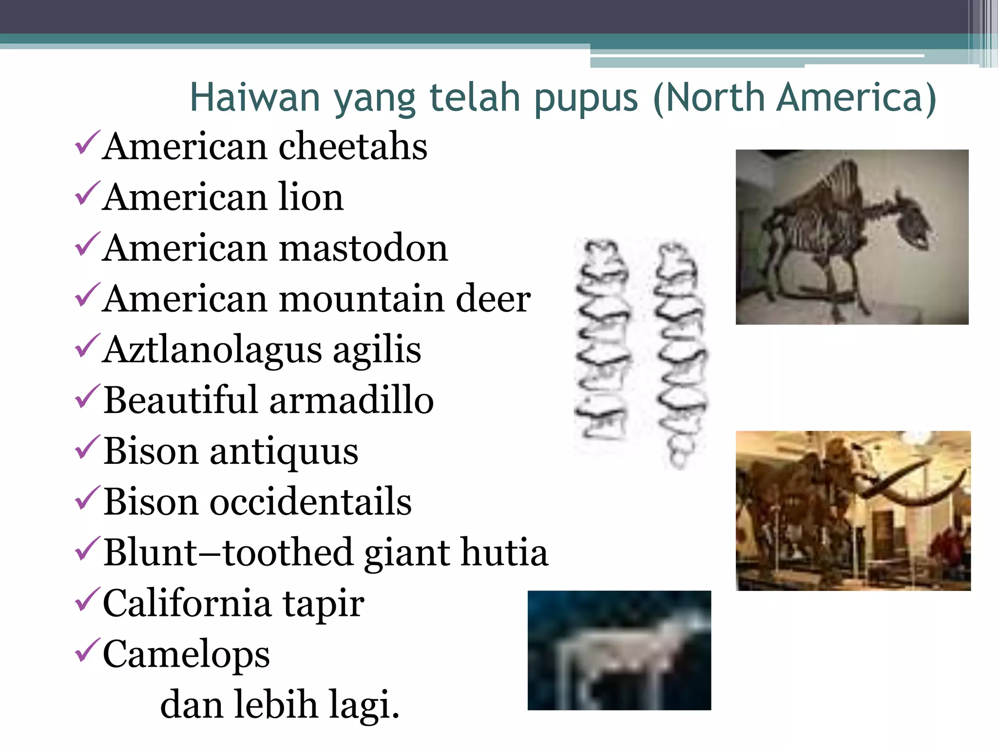 Pemeliharaan dan Pemuliharaan | PPTX