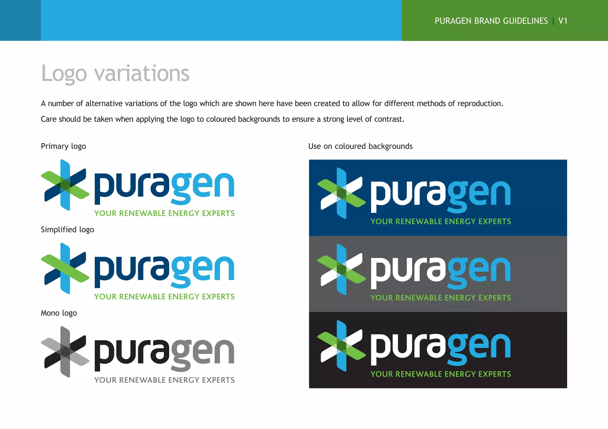 Puragen Brand Guidelines | PDF