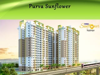 purva eternity review, purva highlands delays, purva season delays, | PPT