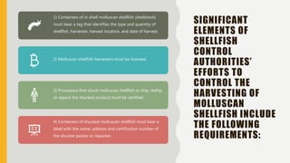 Purchasing storing (Ryuna Robles) | PPT