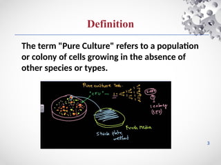 pure-culture-techniques for teaching material.pptx