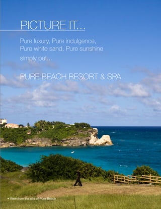Pure Beach Resort and Spa | PDF