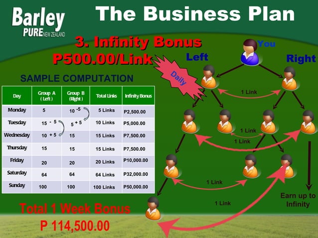 Pure Barley Presentation - The Compensation Plan | PPT
