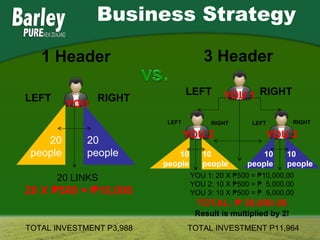 Pure Barley Presentation - The Compensation Plan | PPT