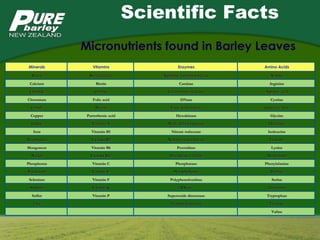 Pure Barley Presentation - The Products | PPT