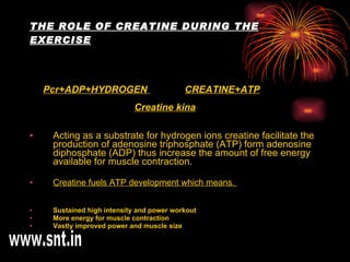 Pure cartine orbit 2 presentation | PPT