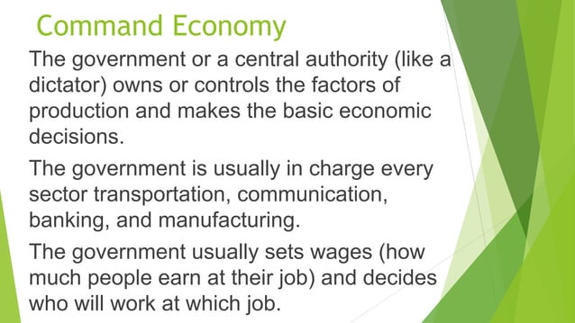 Pure Command Economy.pptx