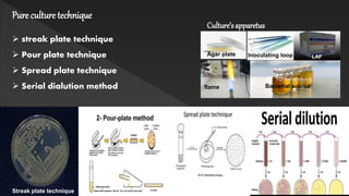 Pure culture techniques | PPTX | Biotech and Biomedical Industry ...