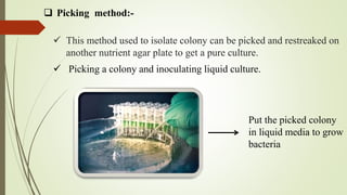 Pure culture techniques | PPTX