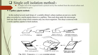 Pure culture techniques | PPTX