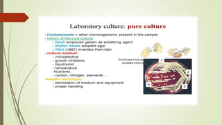 Pure culture techniques | PPTX