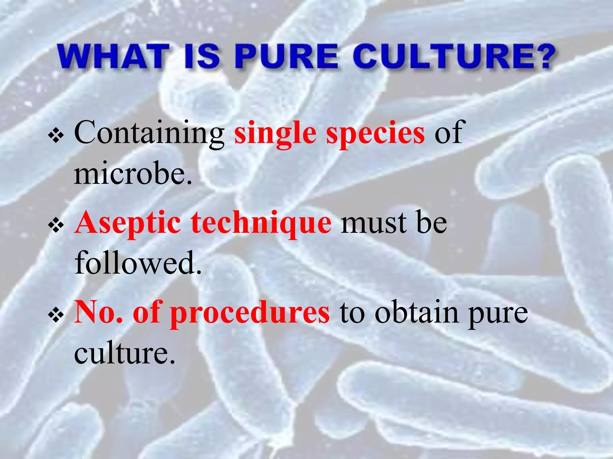 Pure culture isolatin | PPTX