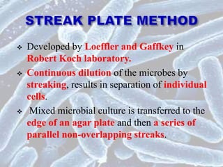 Pure culture isolatin | PPTX