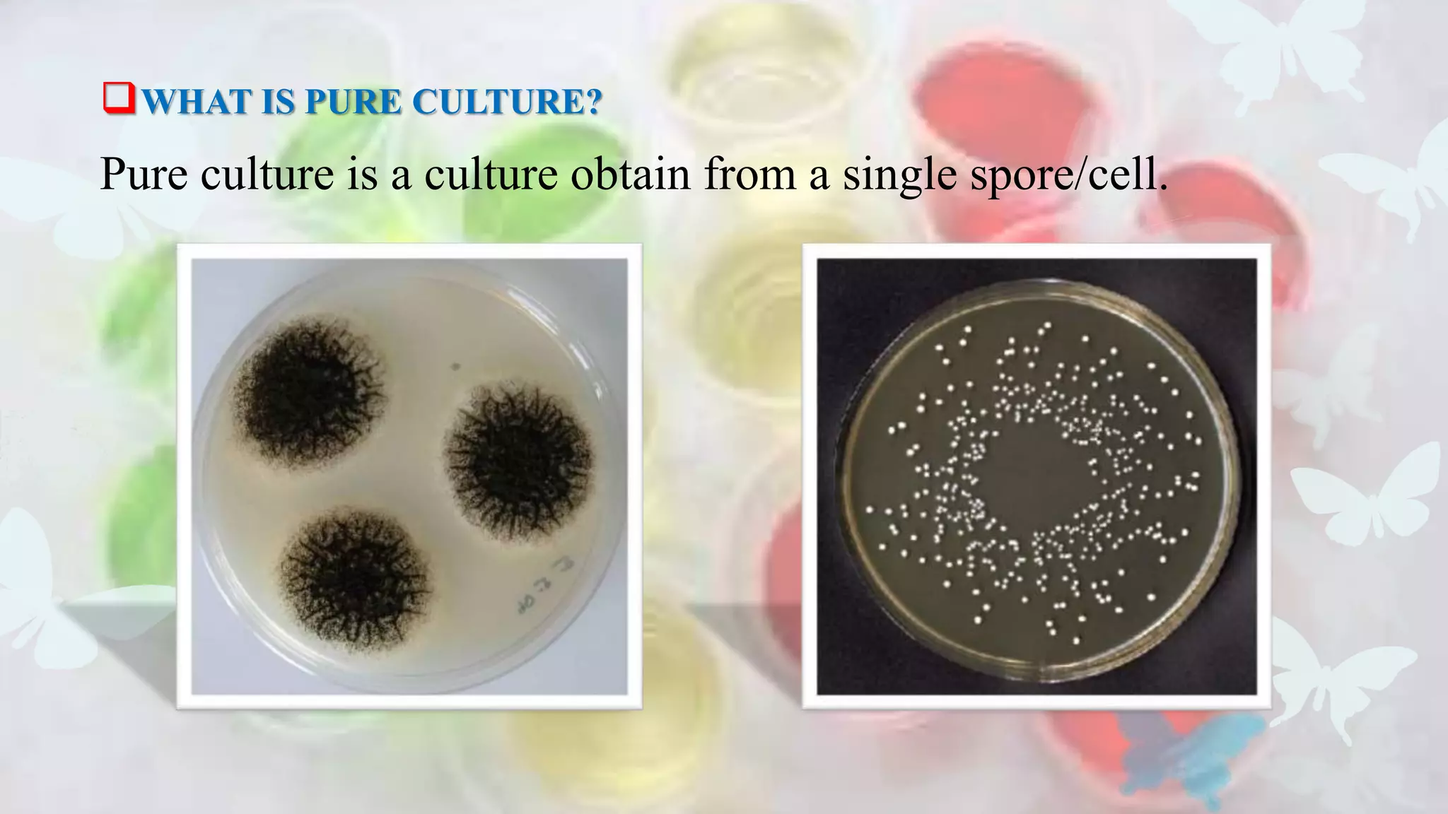 Pure culture preservation and maintenanace | PPTX