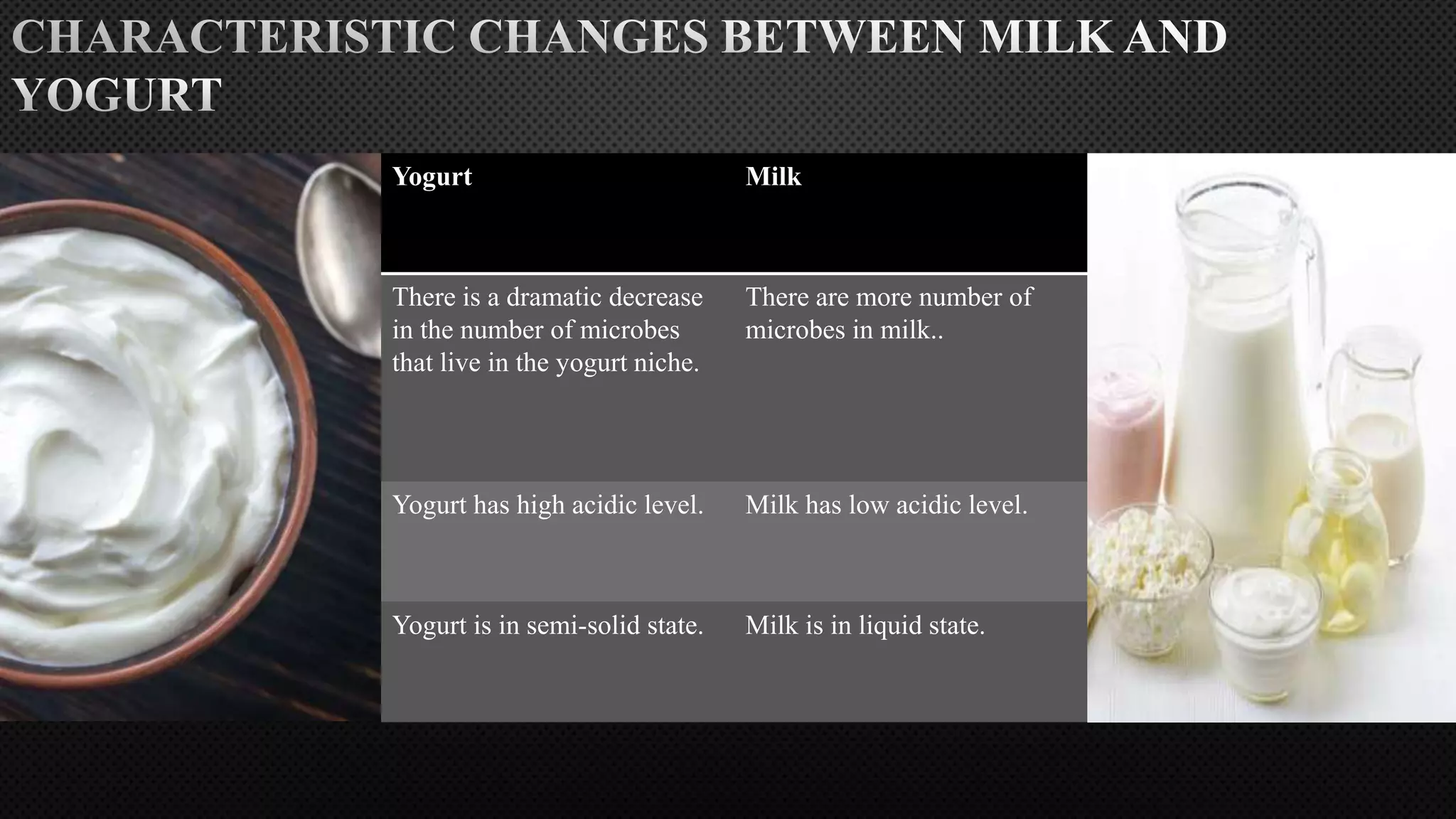 Pure culture study of yogurt | PPTX