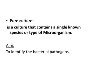 Pure culture technique | PPTX