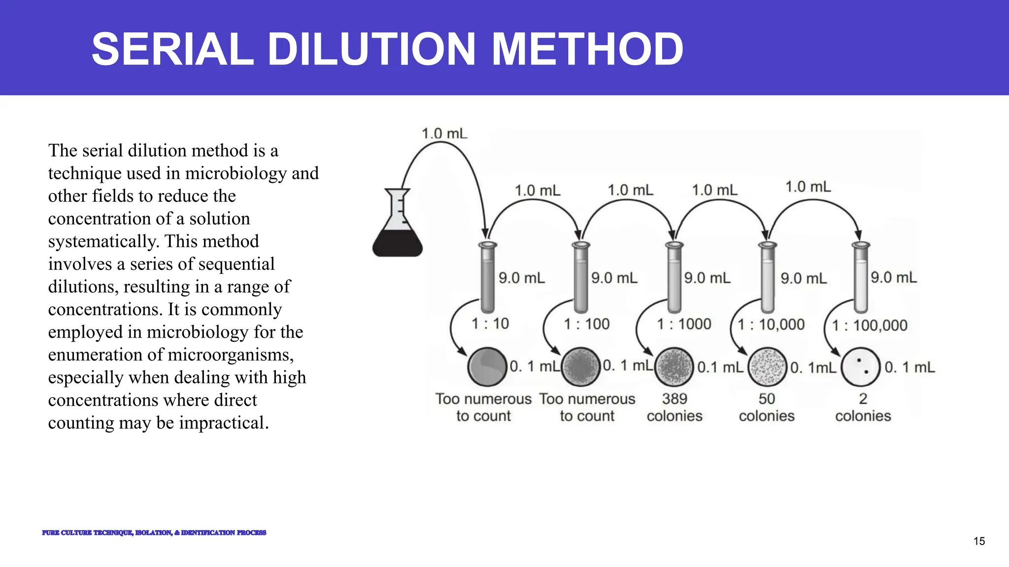 PURE CULTURE TECHNIQUE ISOLATION AND IDENTIFICATION PROCESS .pptx