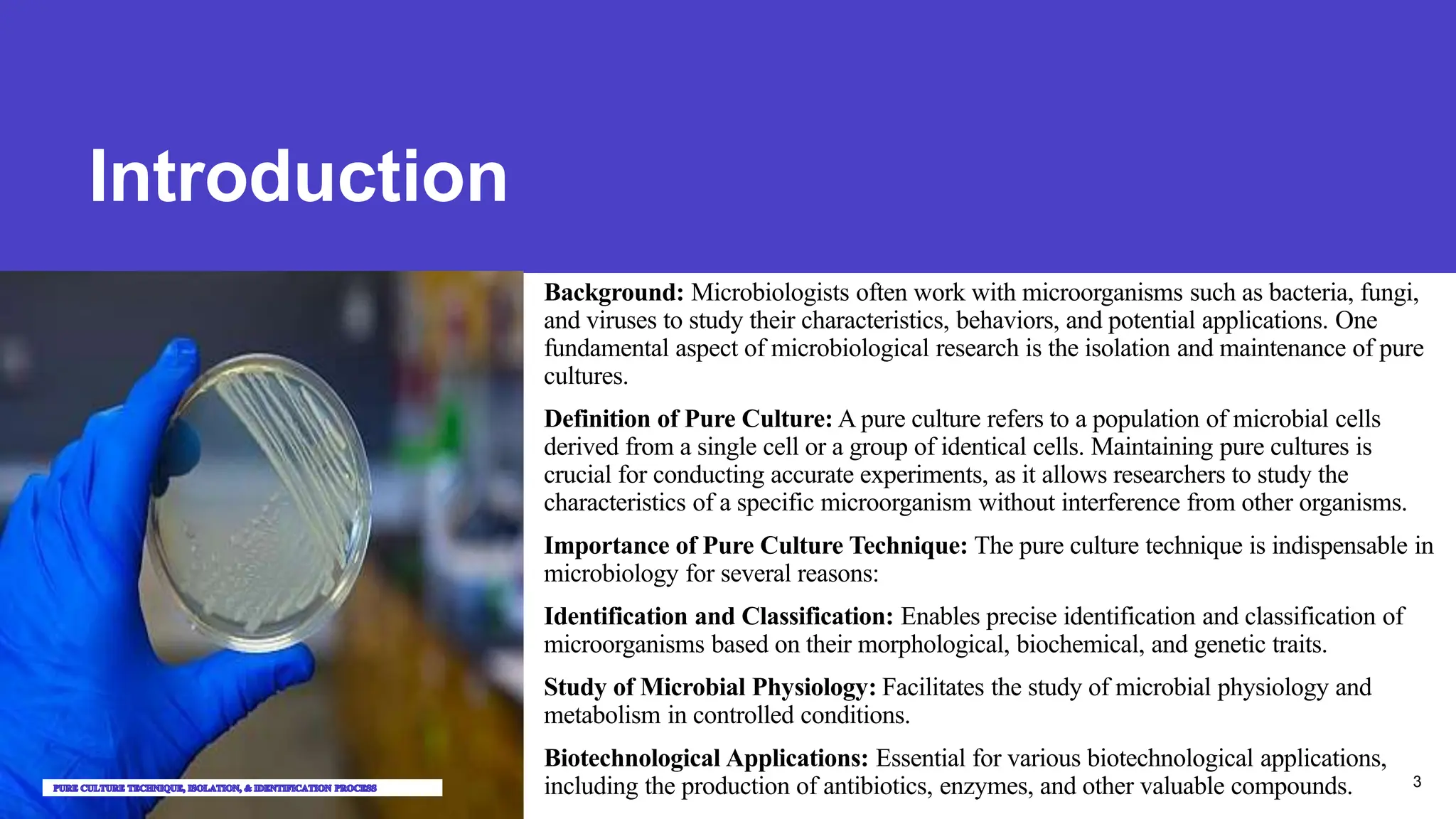 PURE CULTURE TECHNIQUE ISOLATION AND IDENTIFICATION PROCESS .pptx