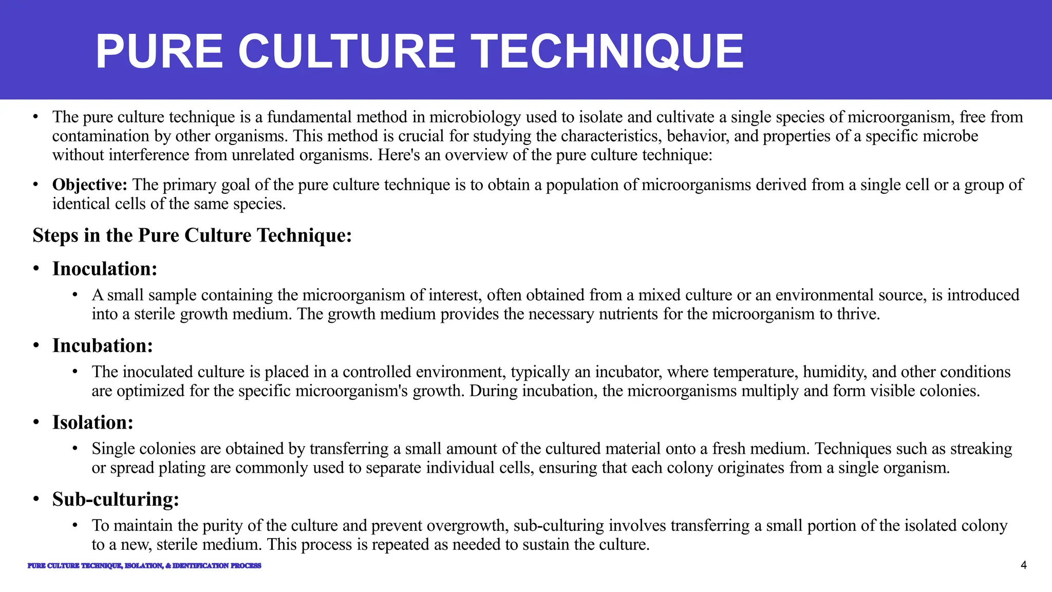 PURE CULTURE TECHNIQUE ISOLATION AND IDENTIFICATION PROCESS .pptx