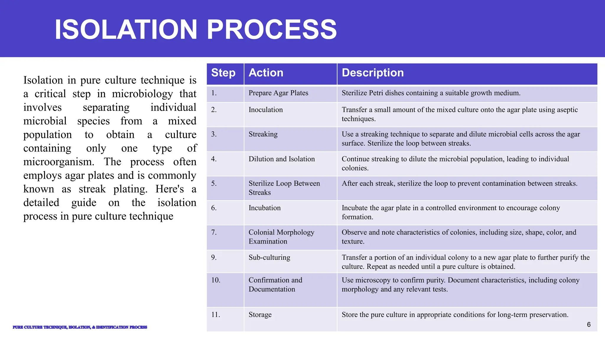 Pure Culture Technique Isolation And Identification Process Pptx