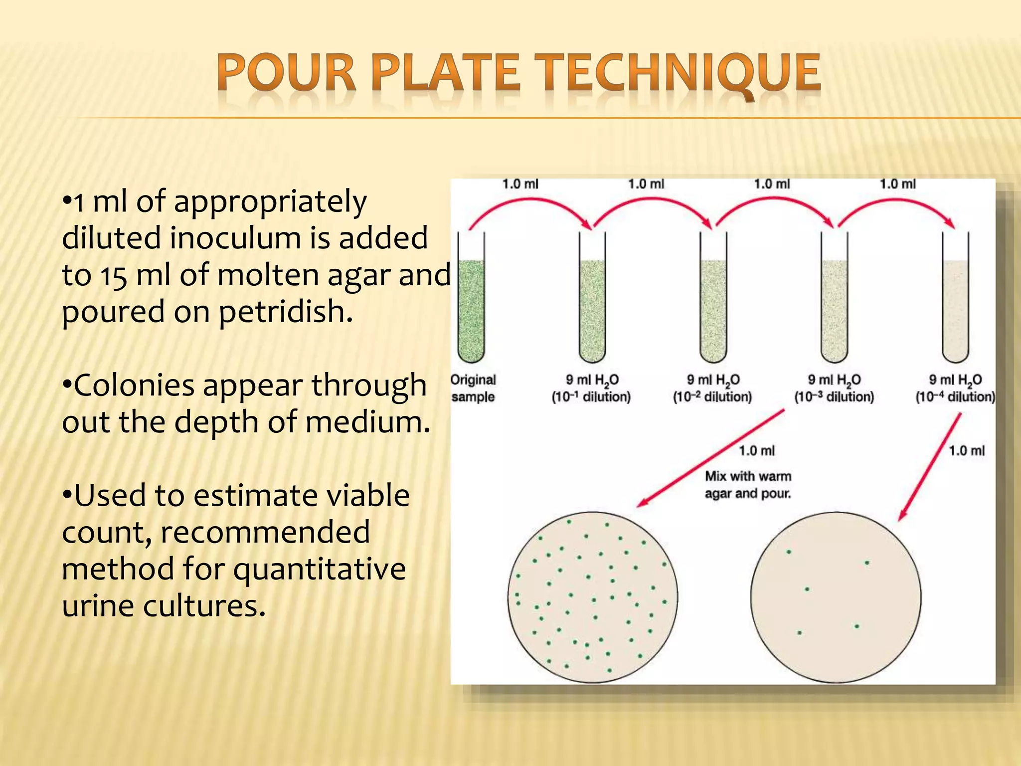 Pure culture techniques | PPTX