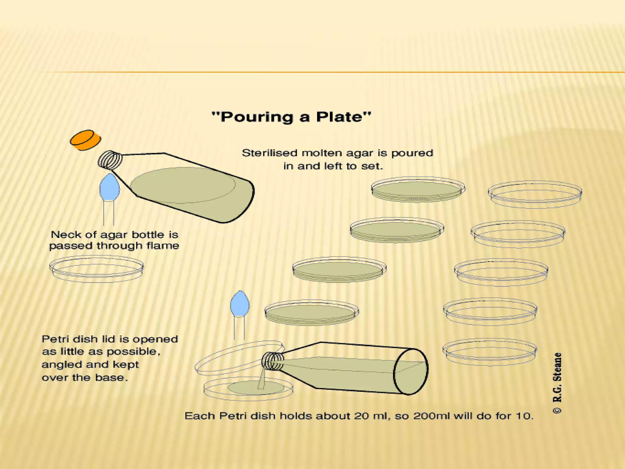 Pure culture techniques | PPTX