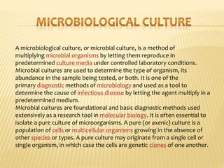 Pure culture techniques | PPTX