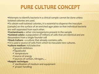 Pure culture techniques | PPTX