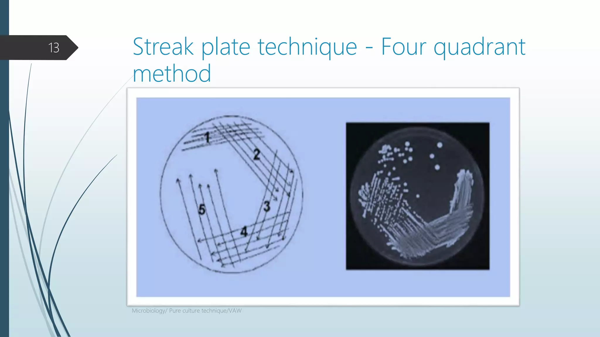Pure culture techniques | PPTX