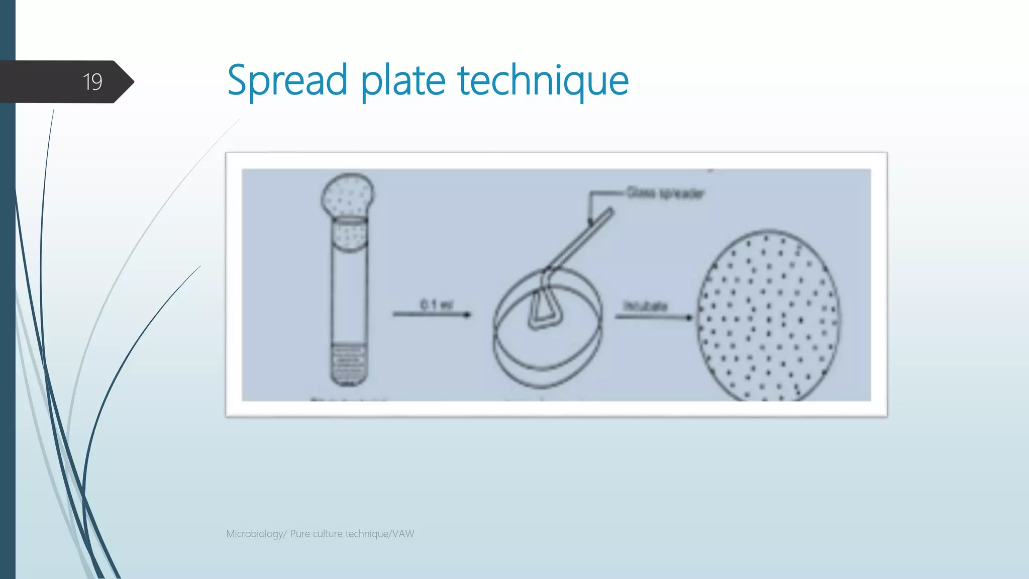Pure culture techniques | PPTX