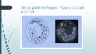 Pure culture techniques | PPTX