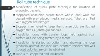 Pure culture techniques | PPTX