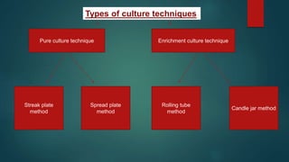 Pure culture techniques | PPTX
