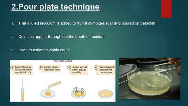 Pure culture techniques | PPTX