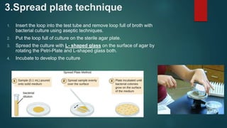 Pure culture techniques | PPTX