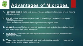 Pure culture techniques | PPTX