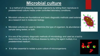 Pure culture techniques | PPTX