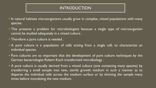 Pure_culture_techniques.pdf of microbes. | PPT