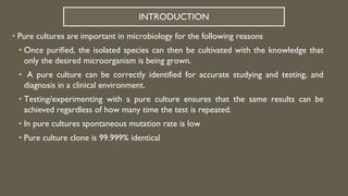 Pure_culture_techniques.pdf of microbes. | PPT