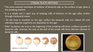 Pure_culture_techniques.pdf of microbes. | PPT