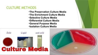 PURE CULTURE TECHNIQUES AND METHOD OF PURE CULTURE | PPTX