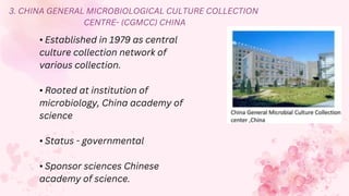 PURE CULTURE TECNIQUES AND CULTURE COLLECTION CENTRES | PDF