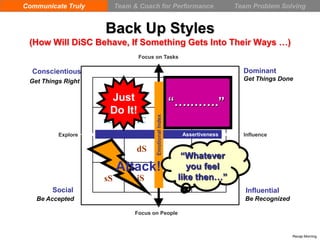 DiSC in a Nutshell - Quick View | PPTX