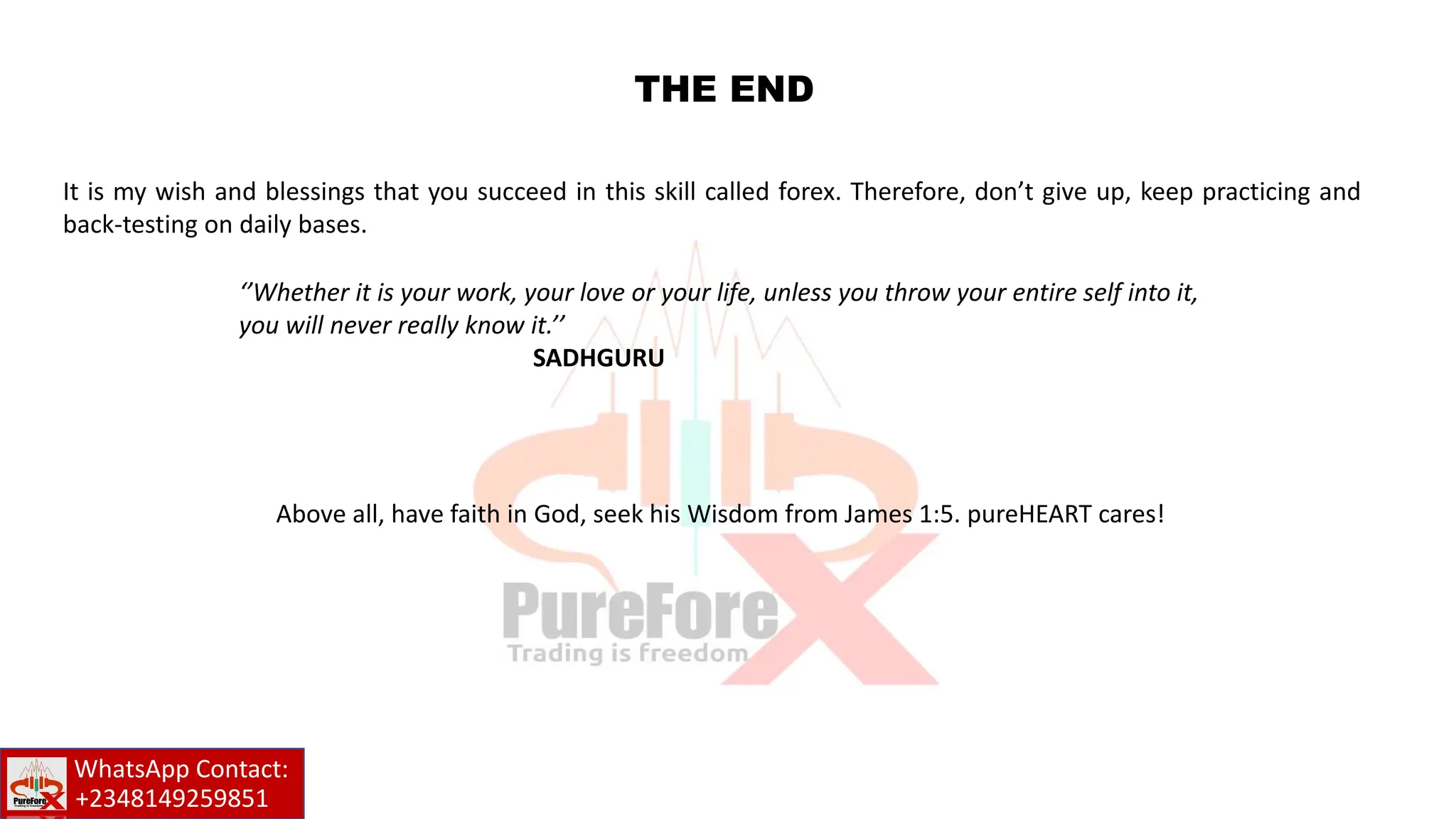 Forex Education for Bystra Setups-msnr .pdf