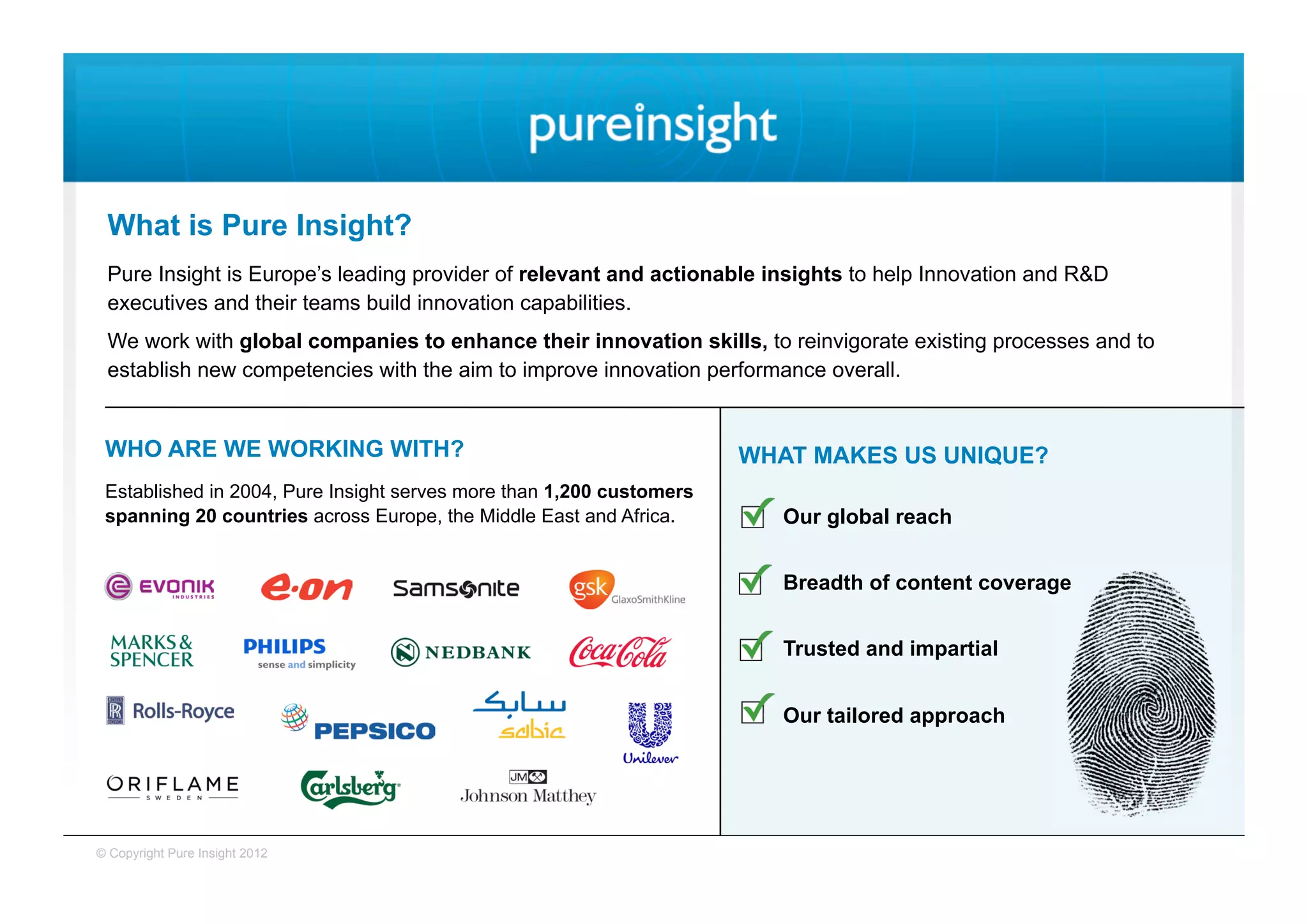 Pure Insight Overview | PPT