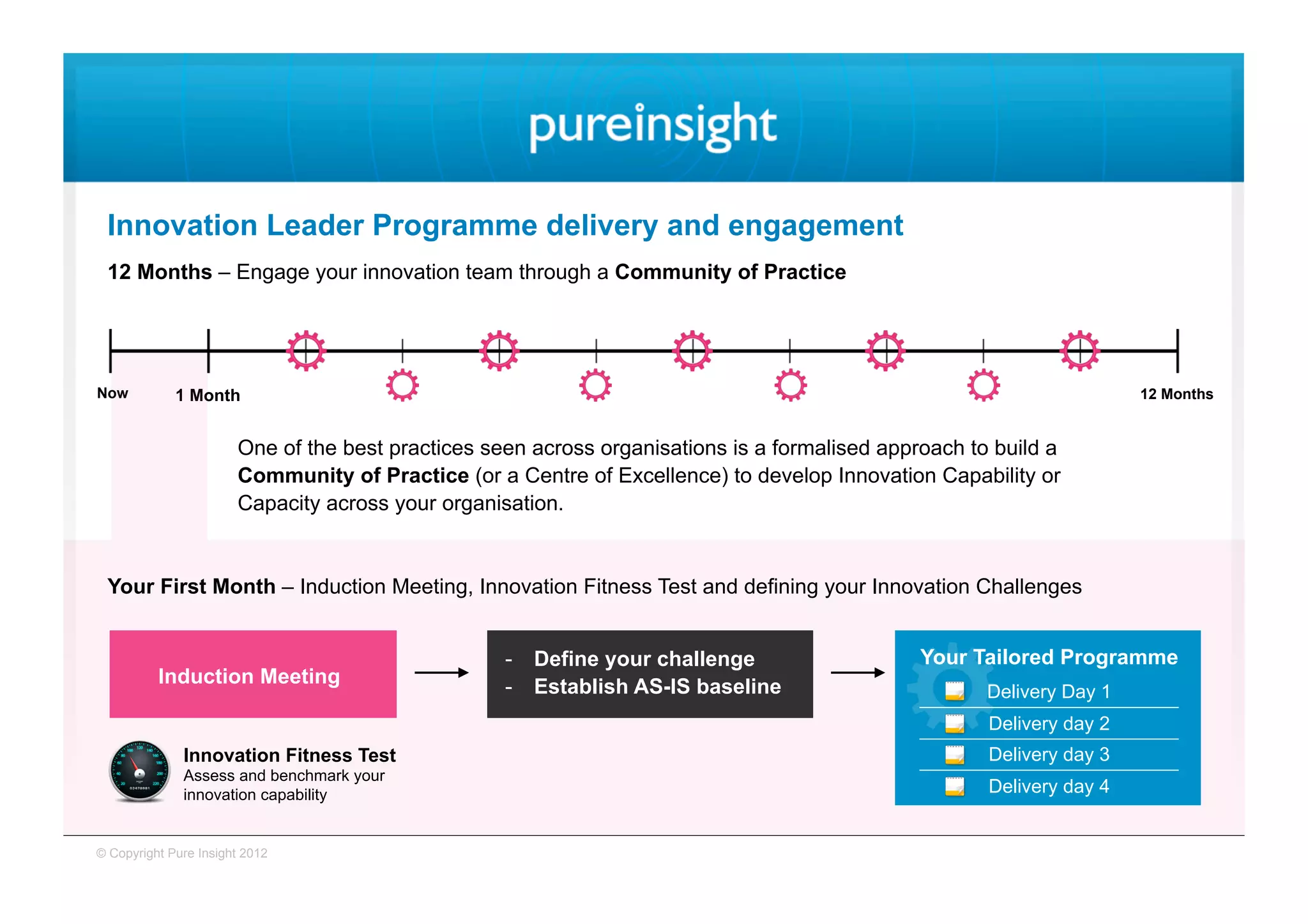 Pure Insight Overview | PPT