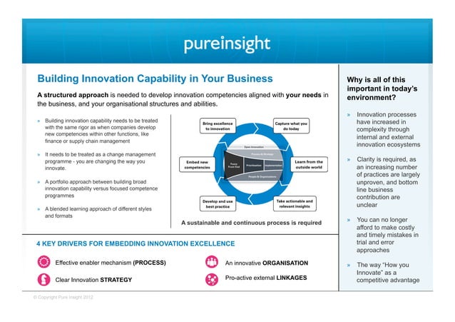Pure Insight Overview | PPT